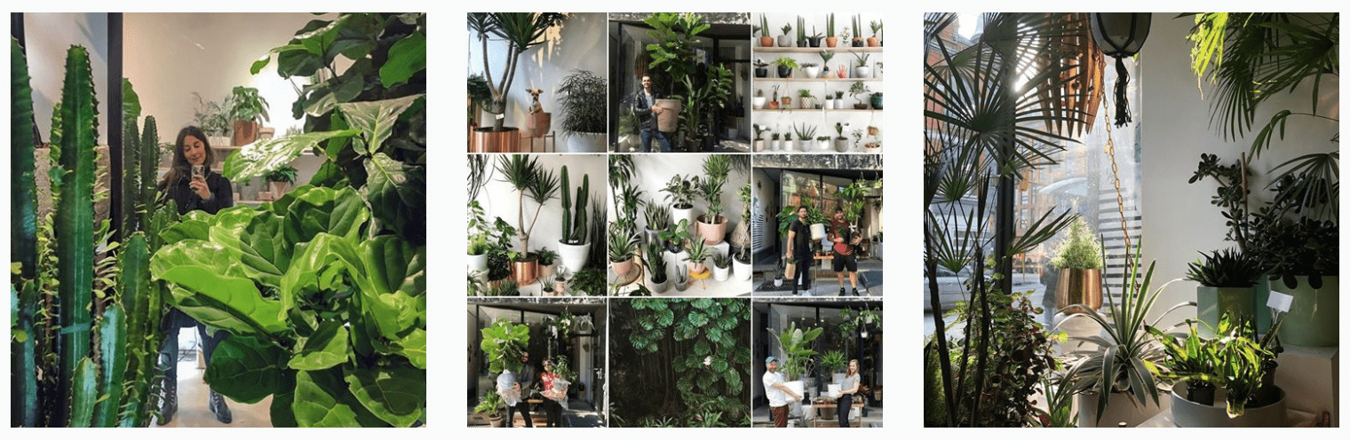 Planty Places in Toronto - Casie Stewart - This Is My Life