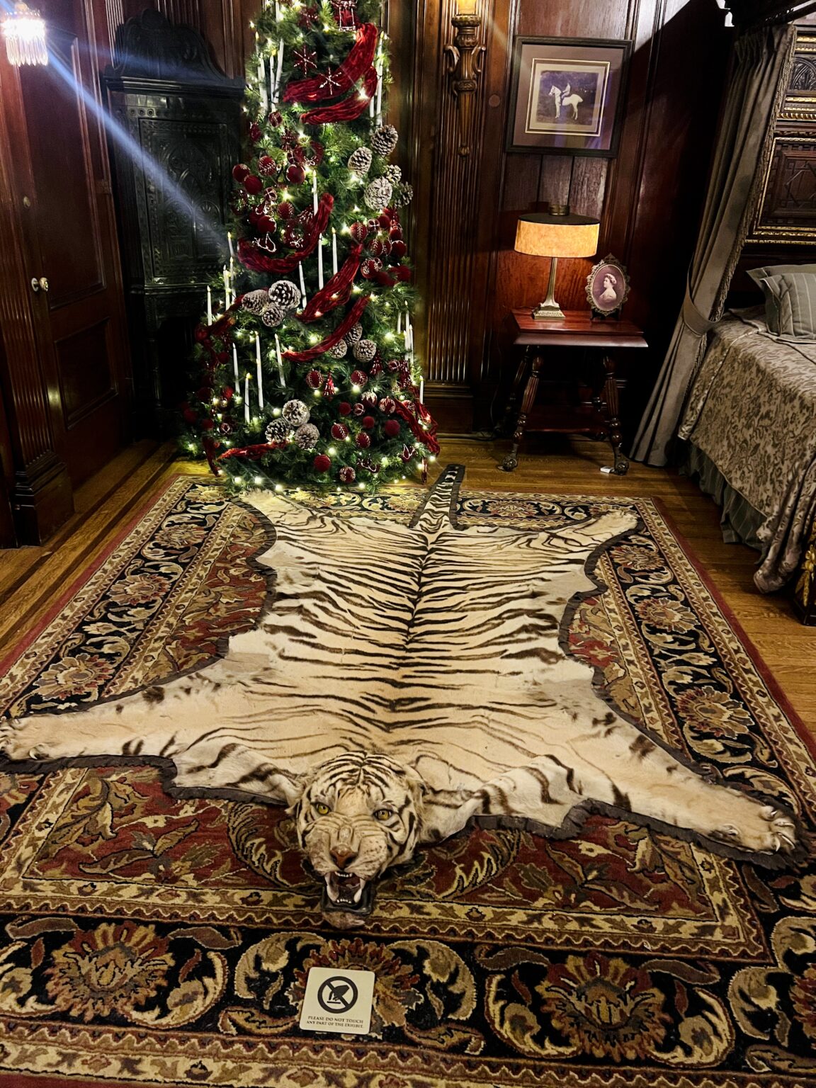 Christmas at The Castle - Casie Stewart - This Is My Life
